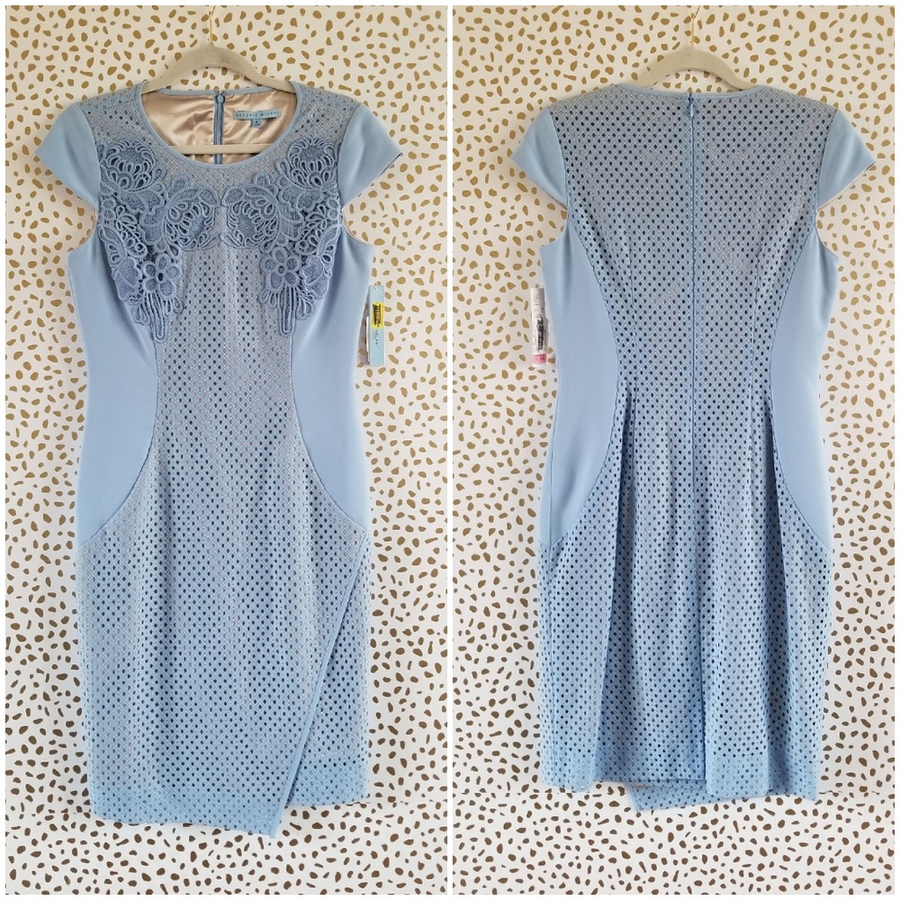 ANTONIO MELANI | Dresses | Nwt Antonio Melani Robins Egg Party Cocktail ...